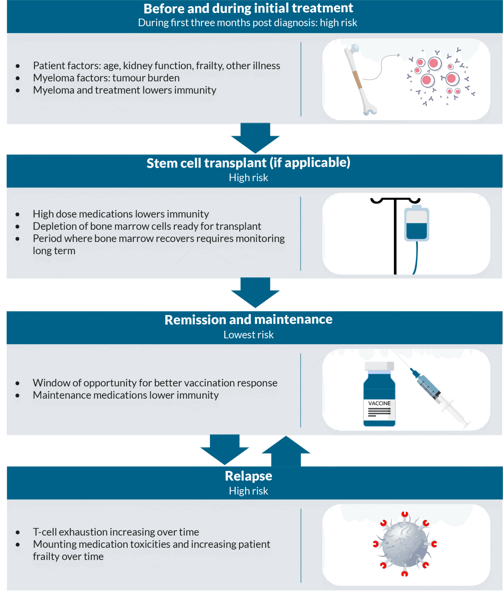 Infection risk with myeloma and myeloma treatments - Myeloma Patients ...